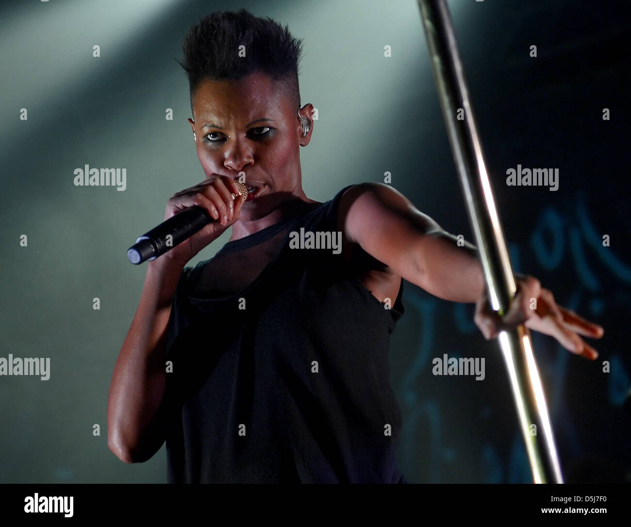 Singer of British band Skunk Anansie, Deborah Anne Dyer aka 'Skin ...