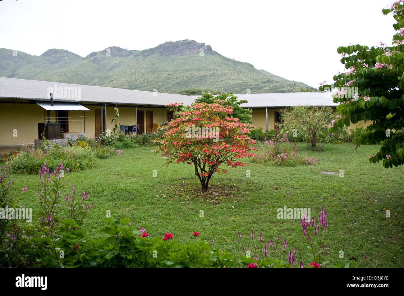 Mount Moroto as seen from an Italian Guest House Stock Photo - Alamy
