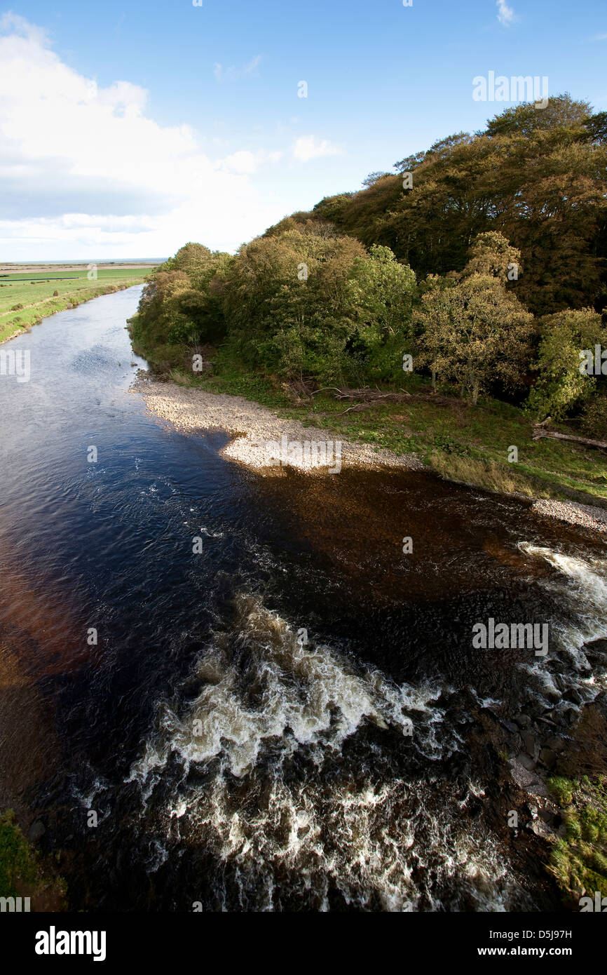Montrose Angus Scotland Stock Photo - Alamy