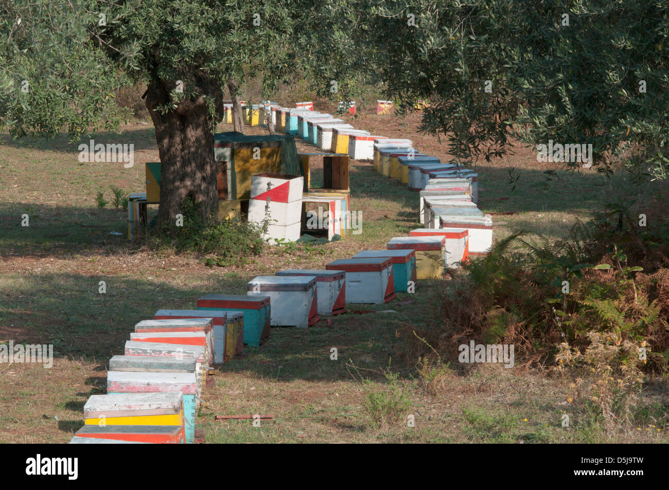 Greek beehives hi-res stock photography and images - Alamy