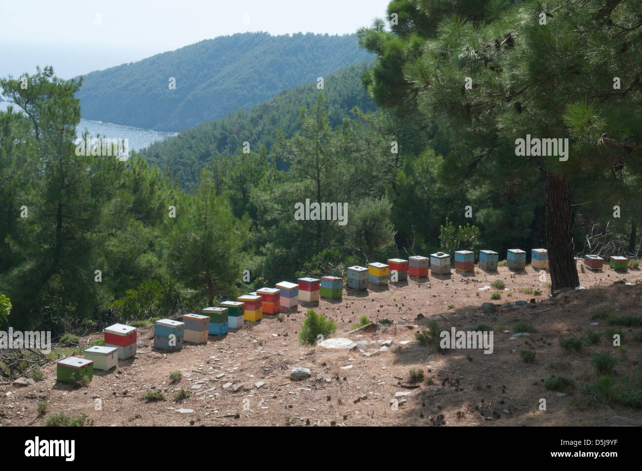Greek island September Beehives near Kinira or Kinyra Stock Photo - Alamy