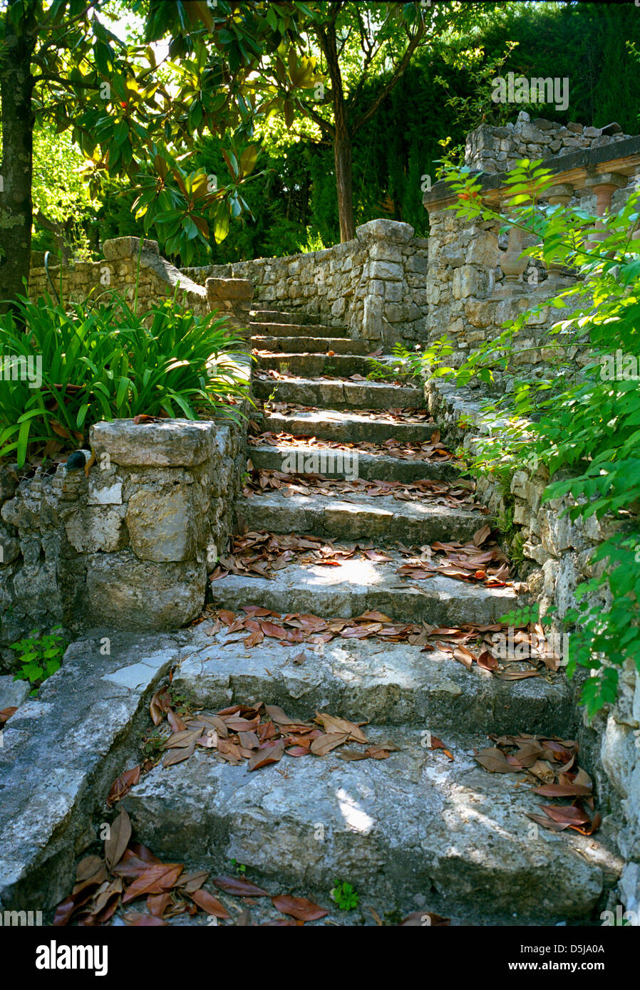 Stone steps in the dappled shade of a garden in Provence, France Stock ...