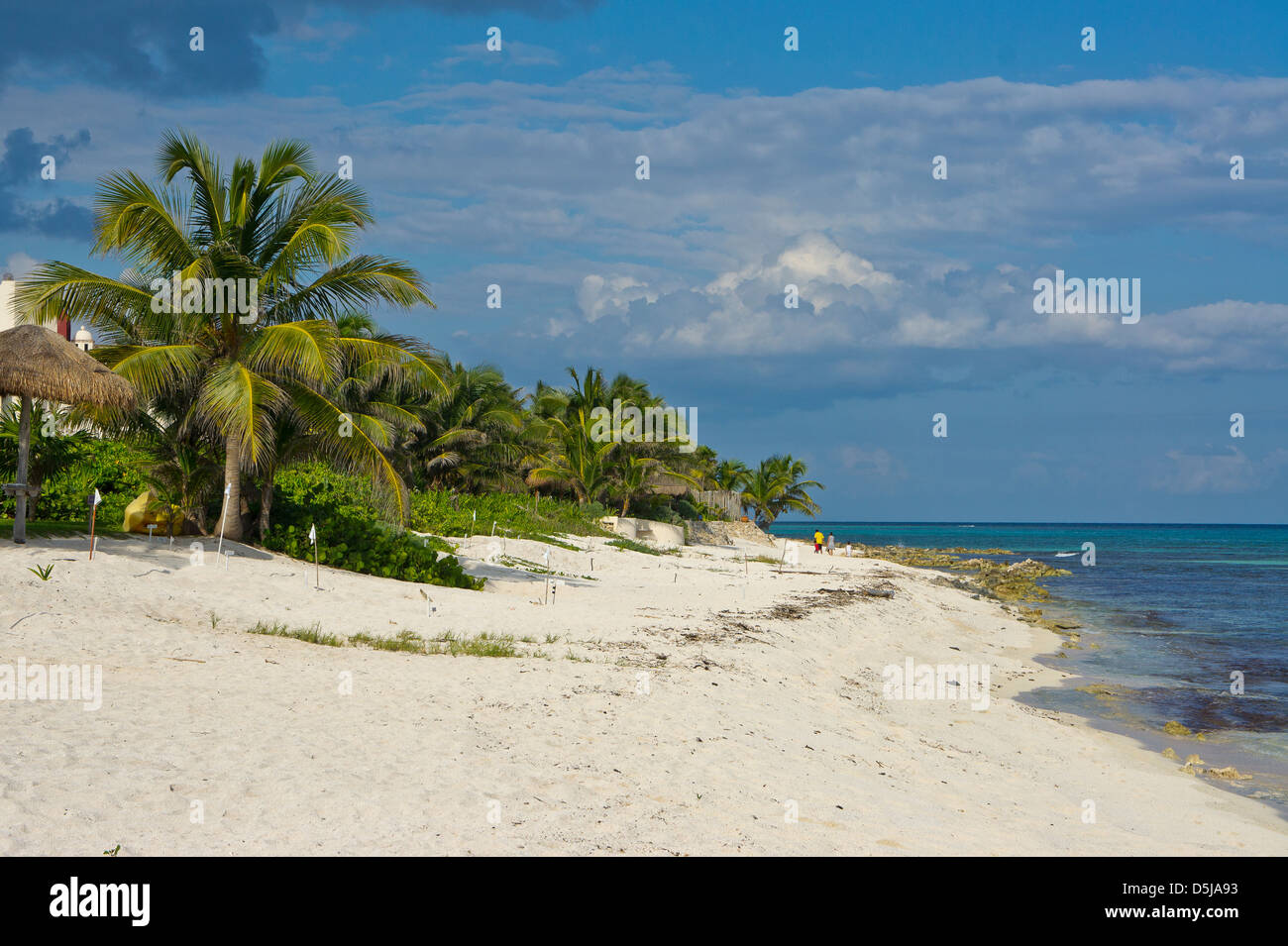 Mexico beach luxury scene Stock Photo - Alamy