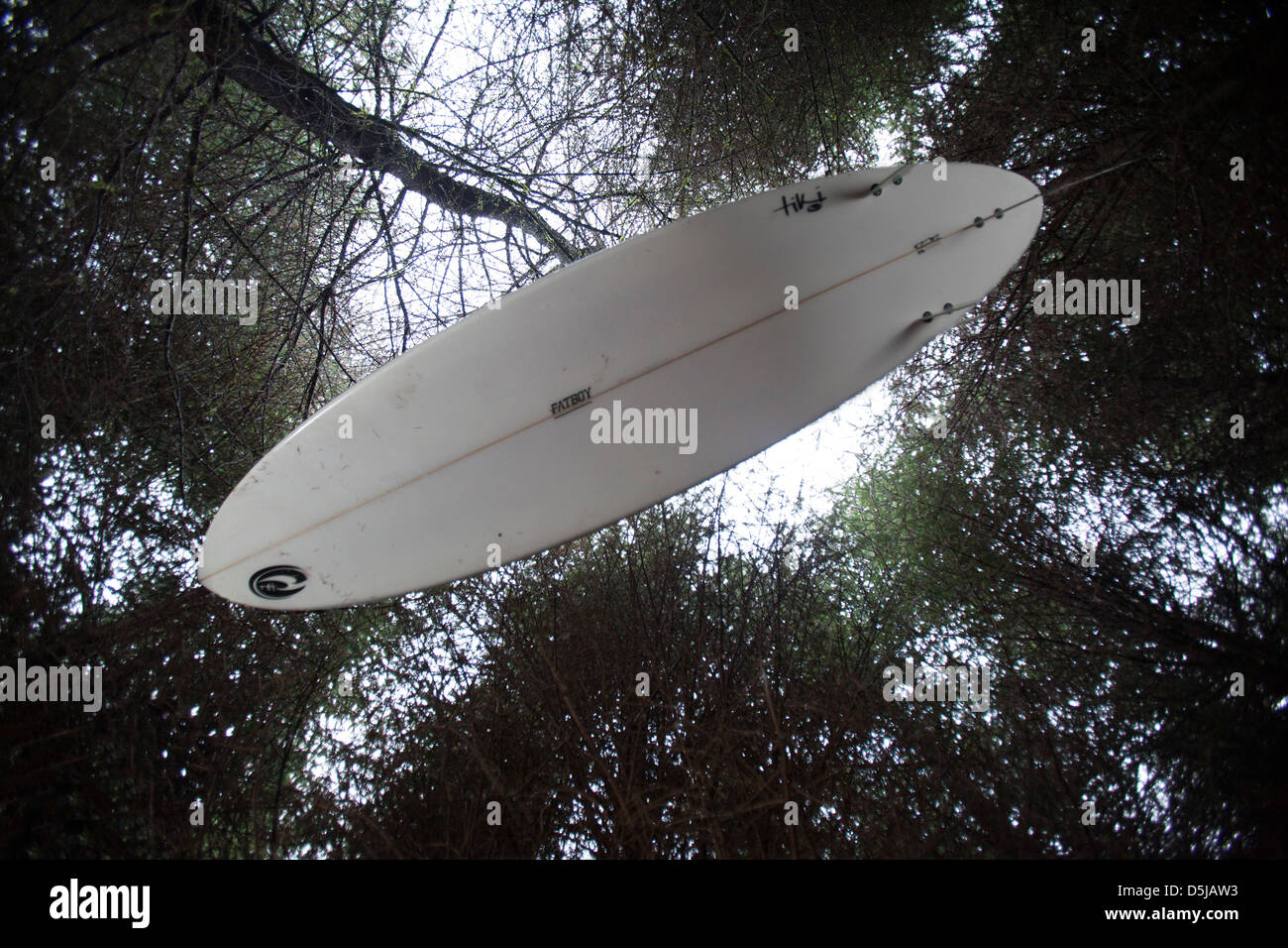 A surf board hovering in the woods Stock Photo - Alamy