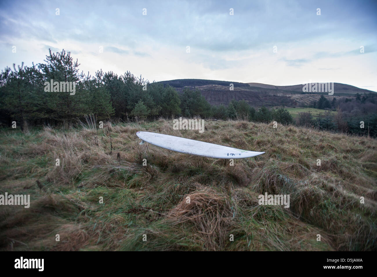 A surf board hovering in the woods Stock Photo - Alamy