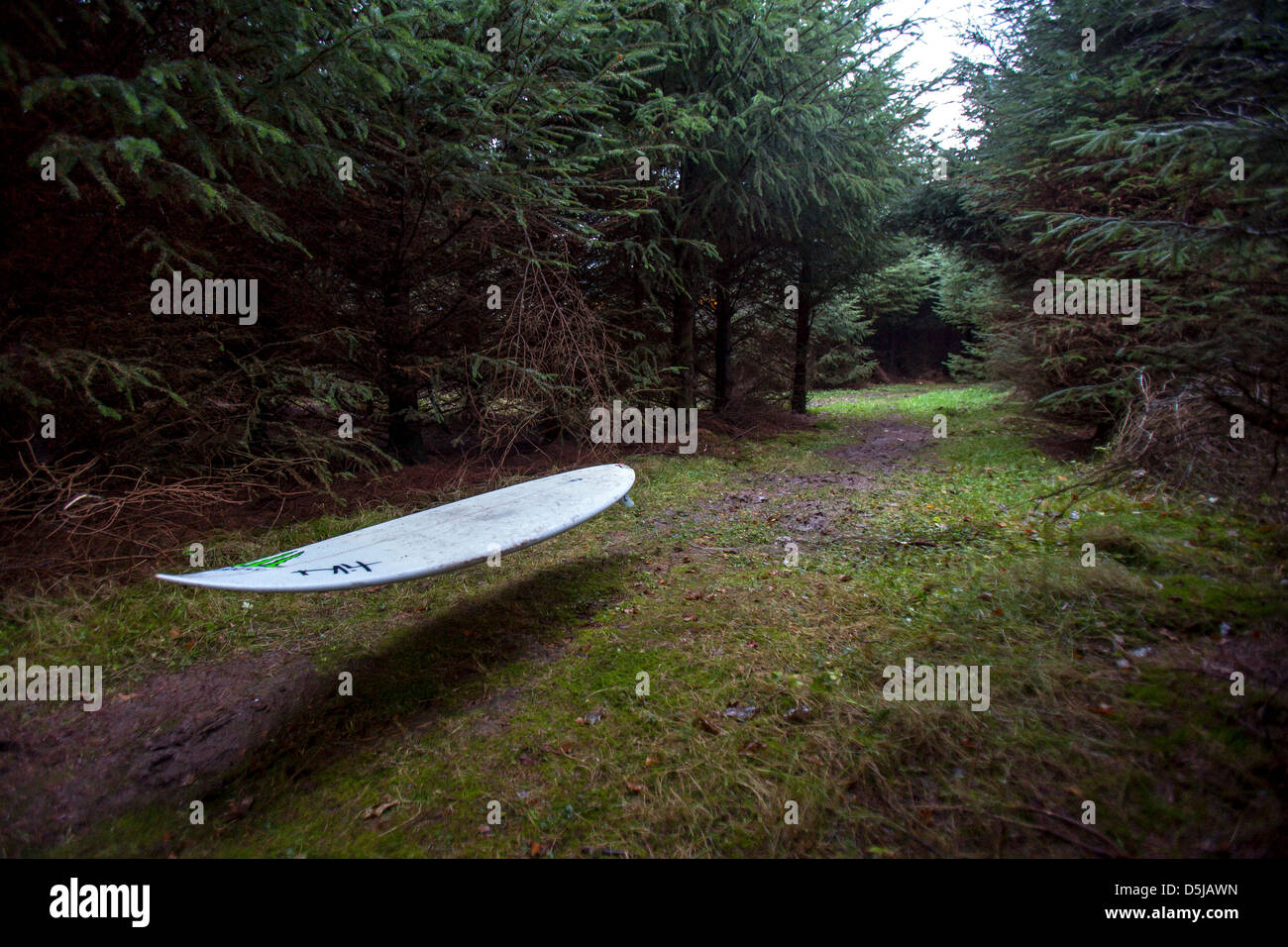 A surf board hovering in the woods Stock Photo - Alamy