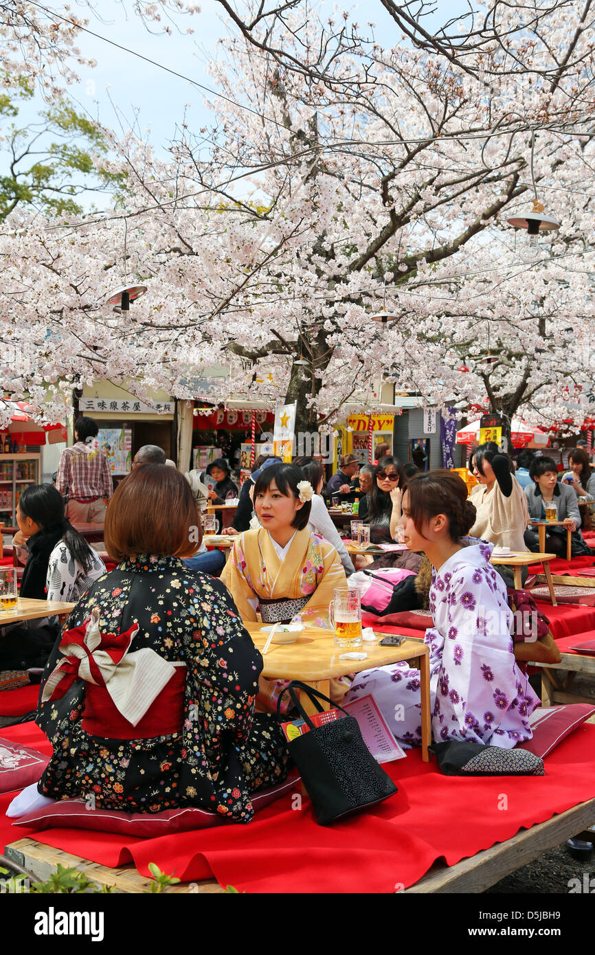 Kyoto, Japan. 1st April 2013. Japanese people picnic under the Cherry ...