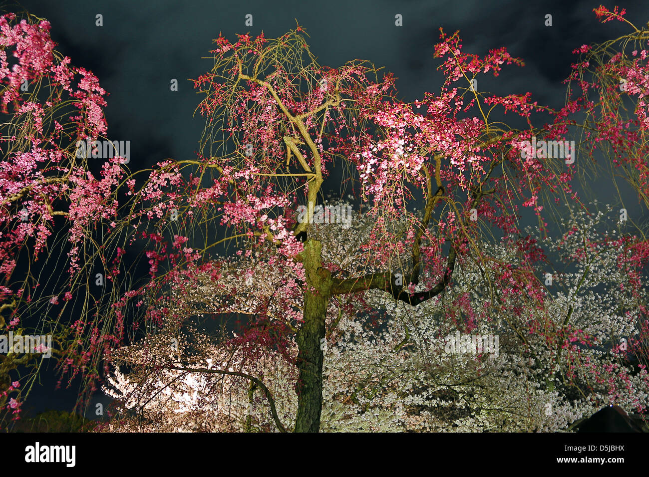 Night time japan High Resolution Stock Photography and Images - Alamy