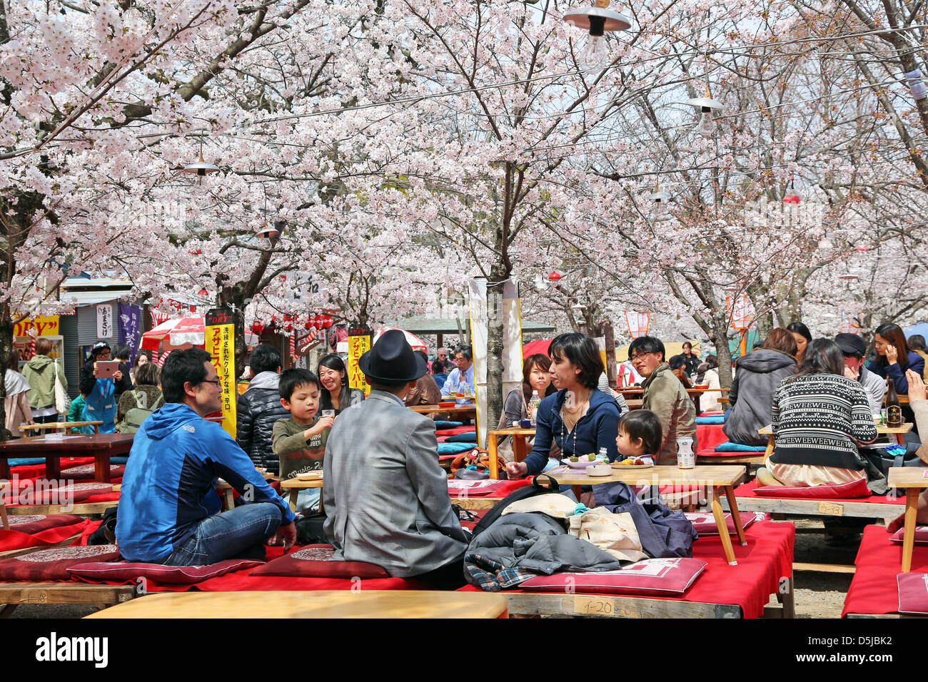 Kyoto, Japan. 1st April 2013. Japanese people picnic under the Cherry ...
