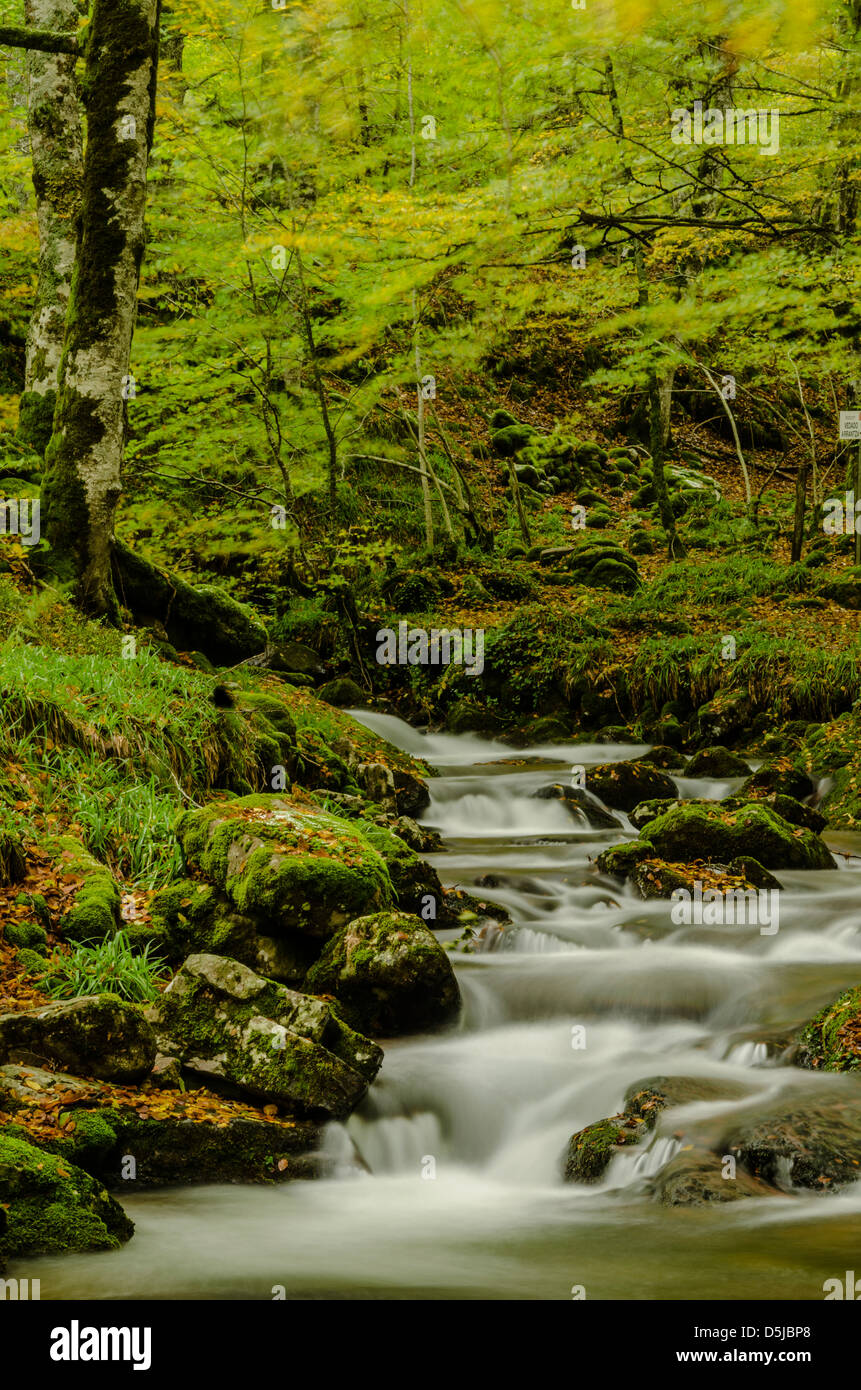 Arce valley forest hi-res stock photography and images - Alamy