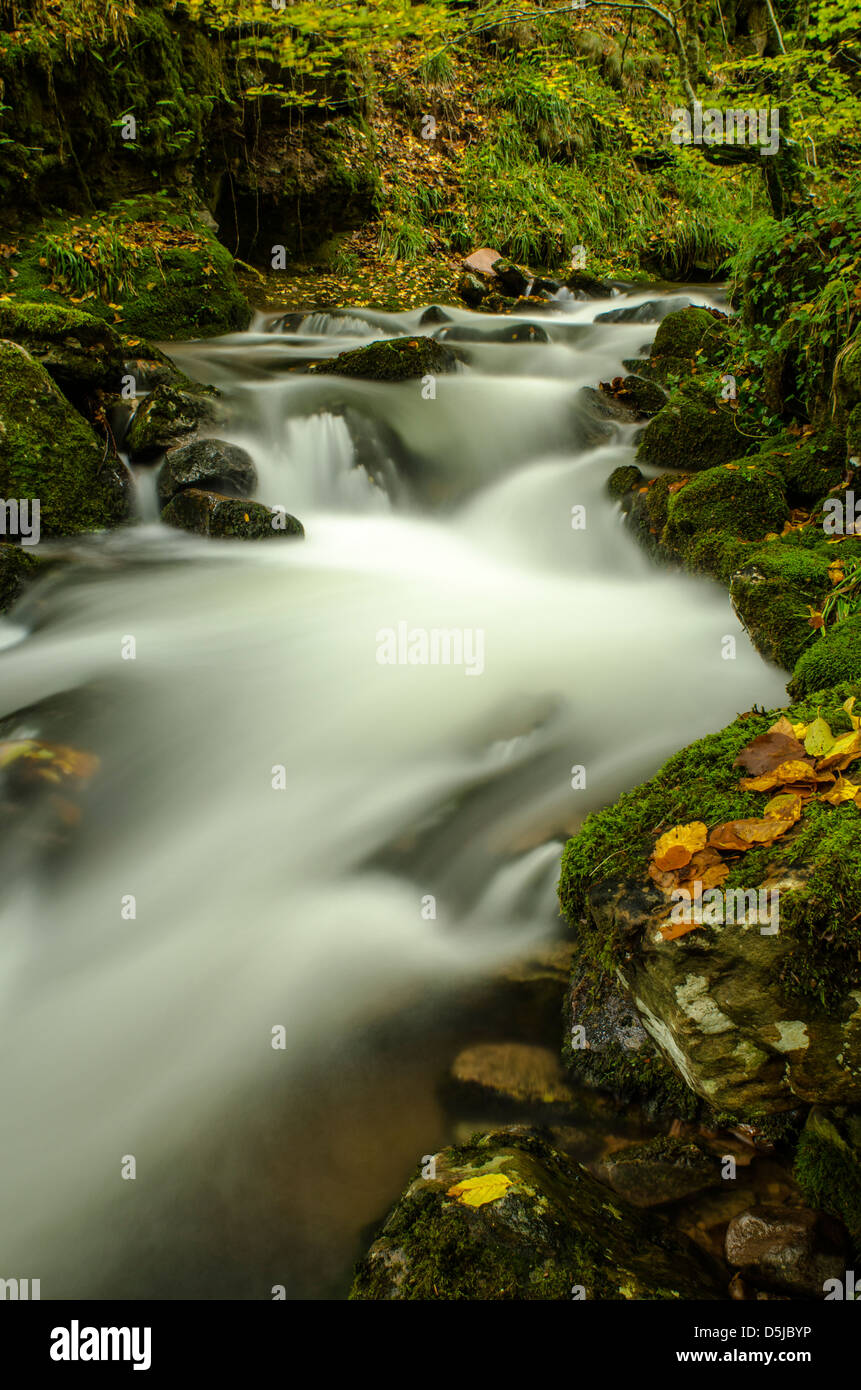 Riverside in autumn of Arce Valley forest, Navarre, Spain Stock Photo ...