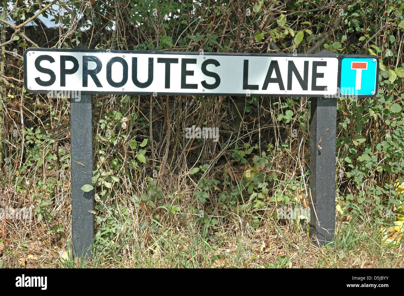 Coolham hi-res stock photography and images - Alamy