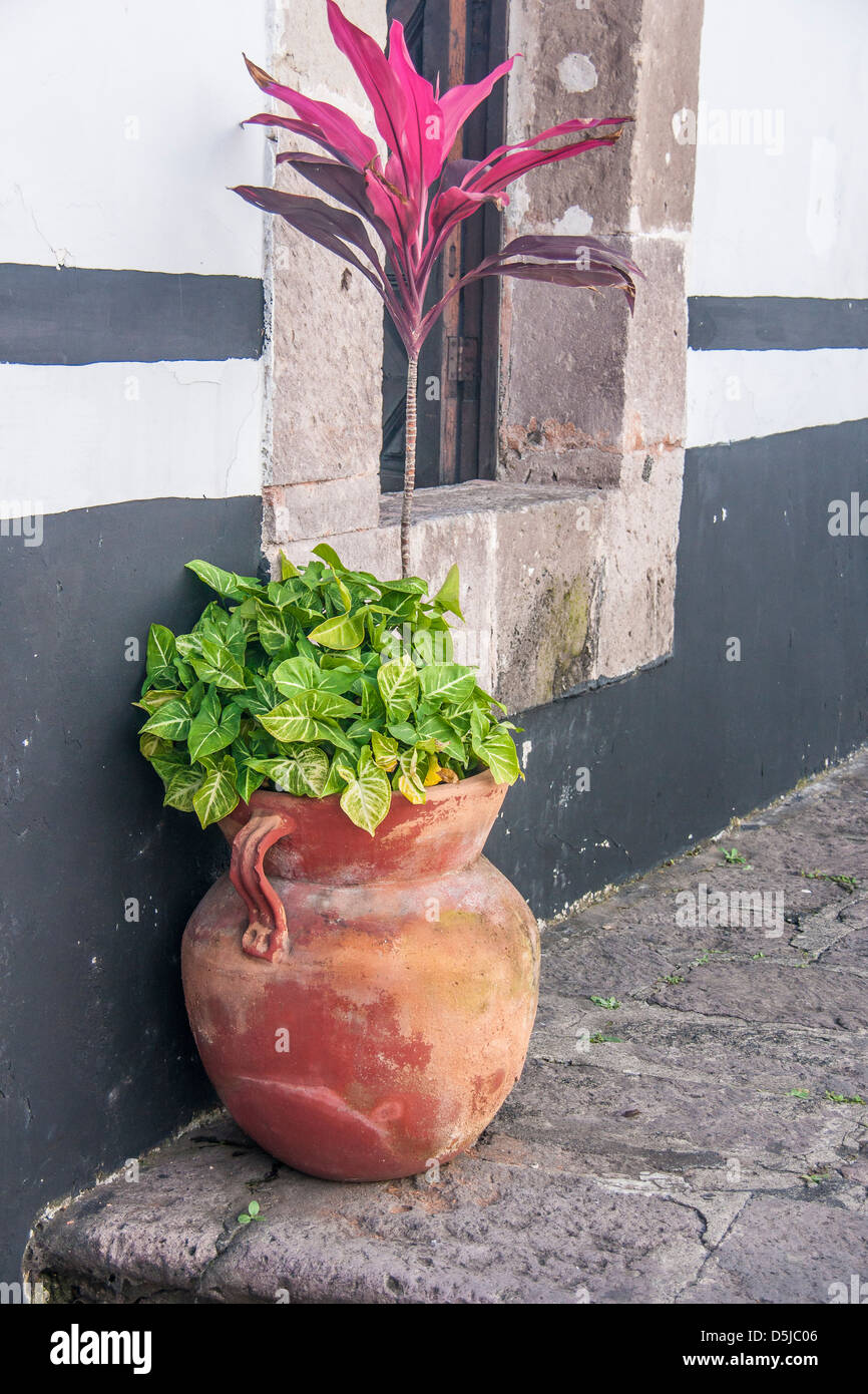 Mexico rustic street scene Stock Photo - Alamy