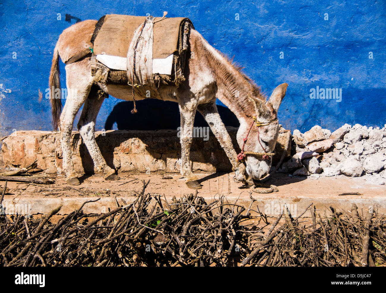 rural Mexico rustic village street scene Stock Photo - Alamy
