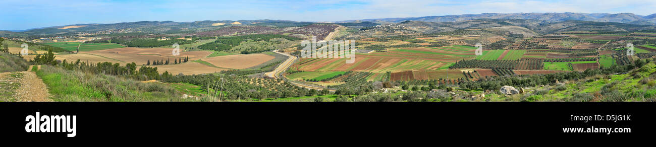 Panorama of fields, villages and agriculture in Israel Stock Photo - Alamy