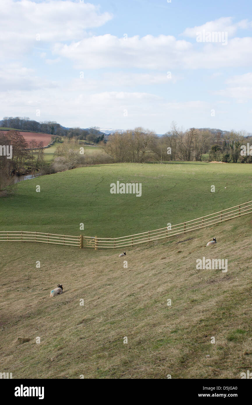 The Teme valley, Worcestershire, on a spring day Stock Photo - Alamy