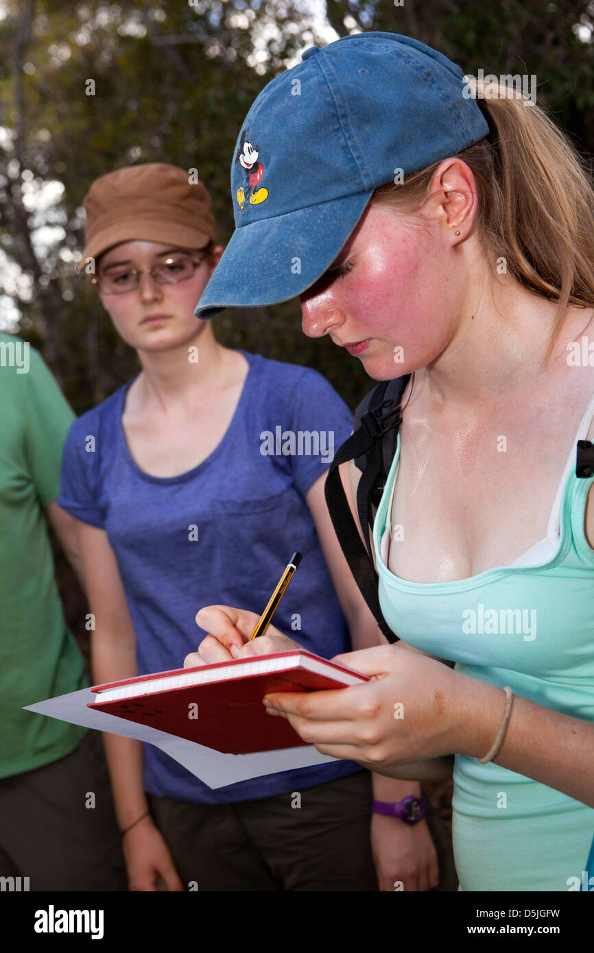 Madagascar, Operation Wallacea perspiring student writing up dry forest ...