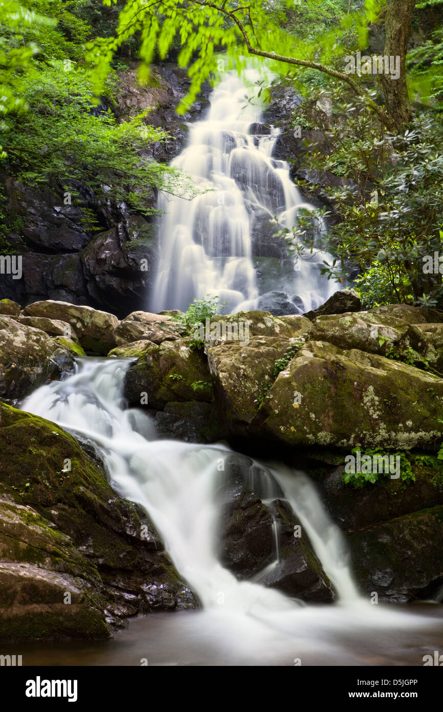Smokey mountain national park hi-res stock photography and images - Alamy