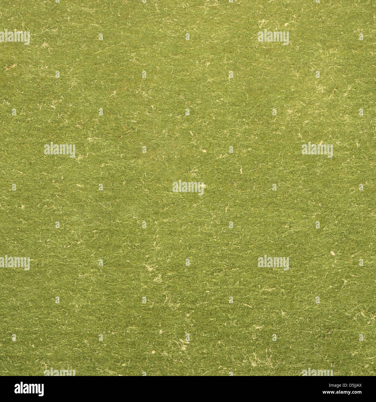 Closeup green paper texture hi-res stock photography and images - Alamy