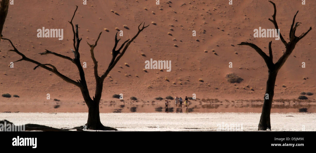 Sossusvlie Pan Trees Stock Photo - Alamy