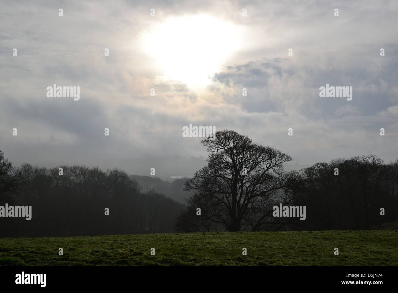 Witton park hi-res stock photography and images - Alamy