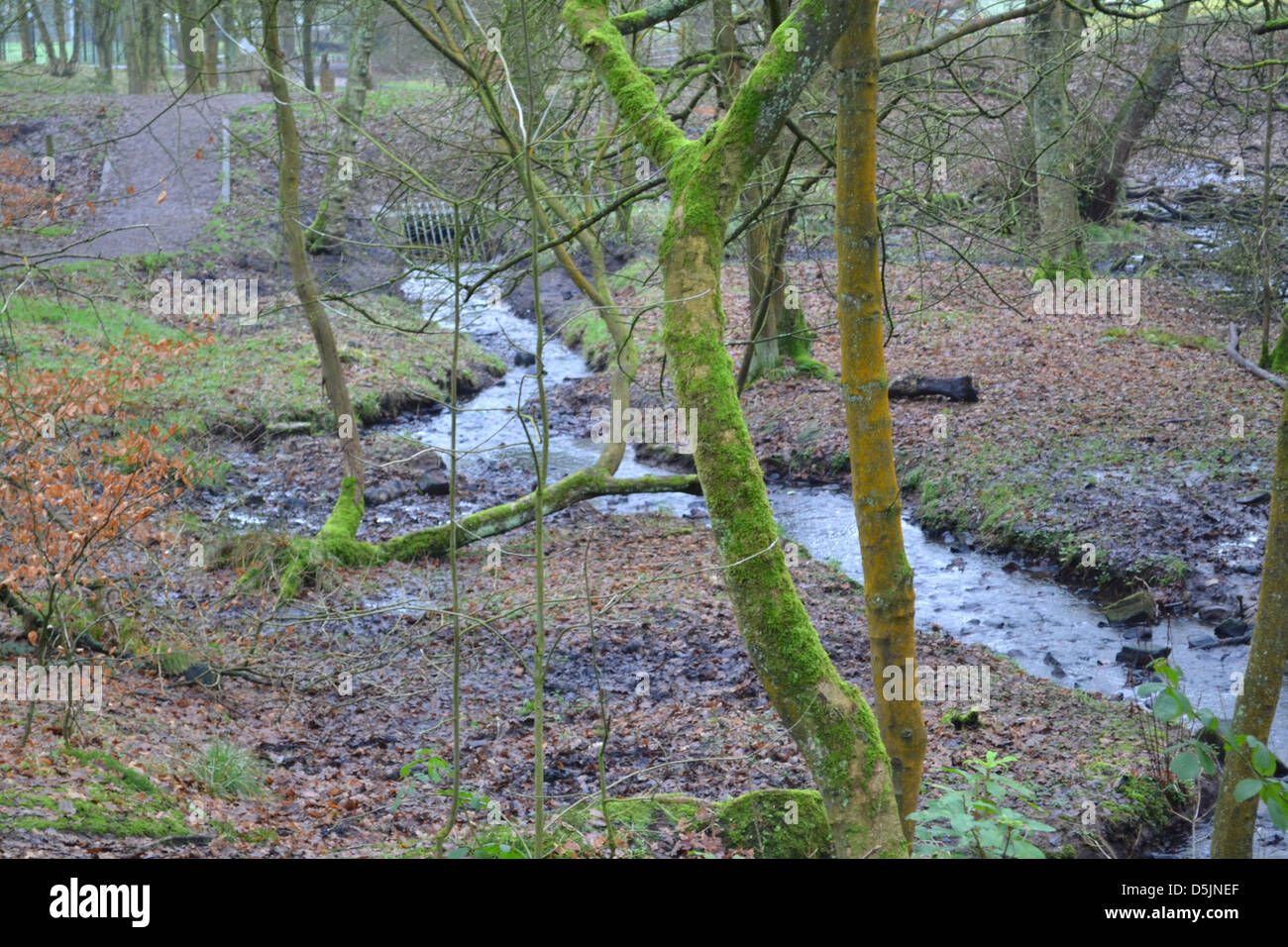 Witton country park blackburn hi-res stock photography and images - Alamy