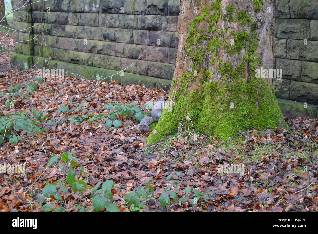 Witton Country Park, Blackburn, Lancashire Stock Photo - Alamy