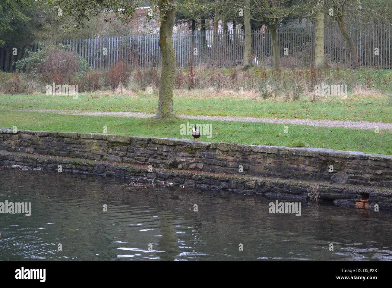 Witton Country Park, Blackburn, Lancashire Stock Photo - Alamy