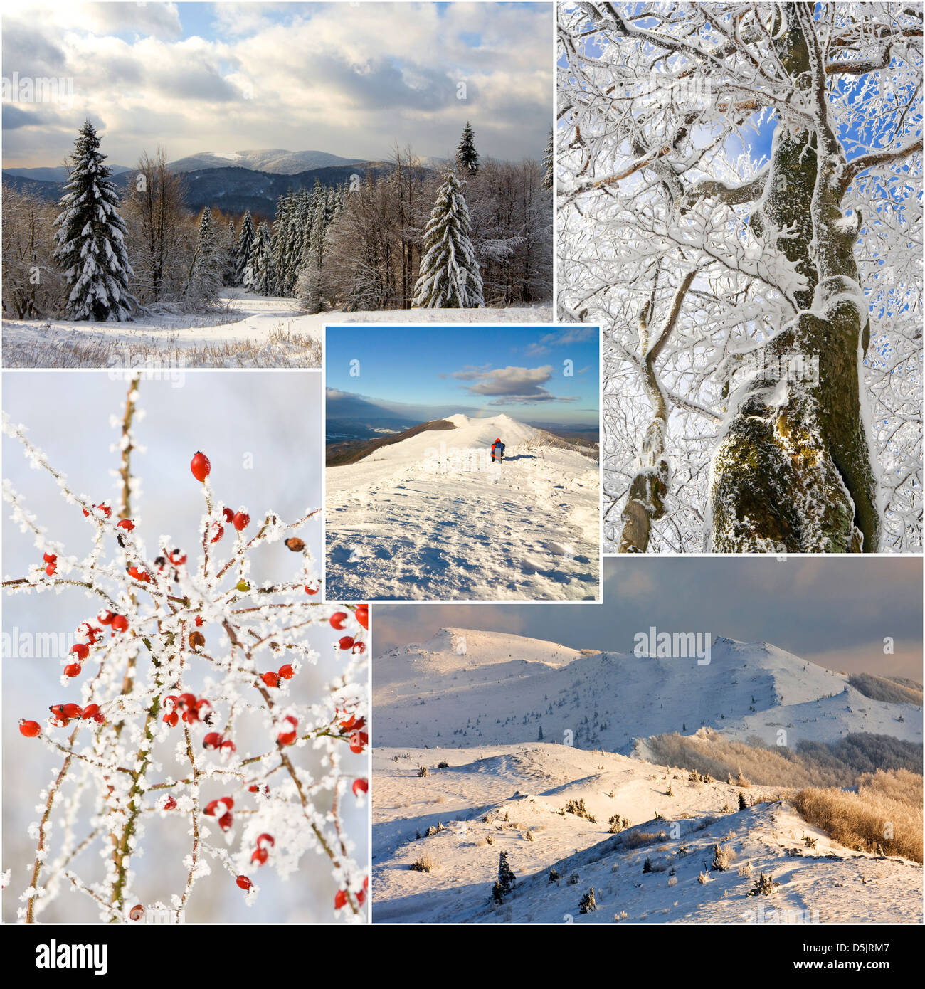 Year sunrise collage hi-res stock photography and images - Alamy