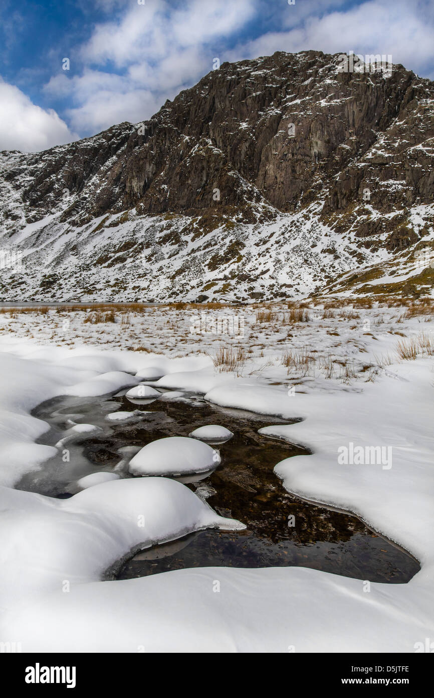 Jacks rake hi-res stock photography and images - Alamy