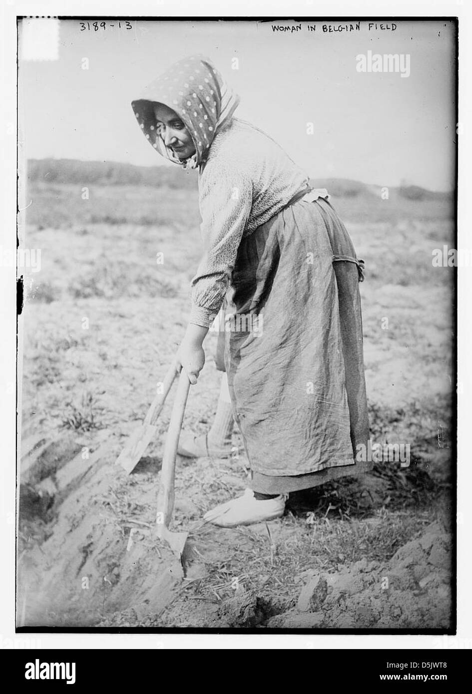 Wartime field work hi-res stock photography and images - Alamy