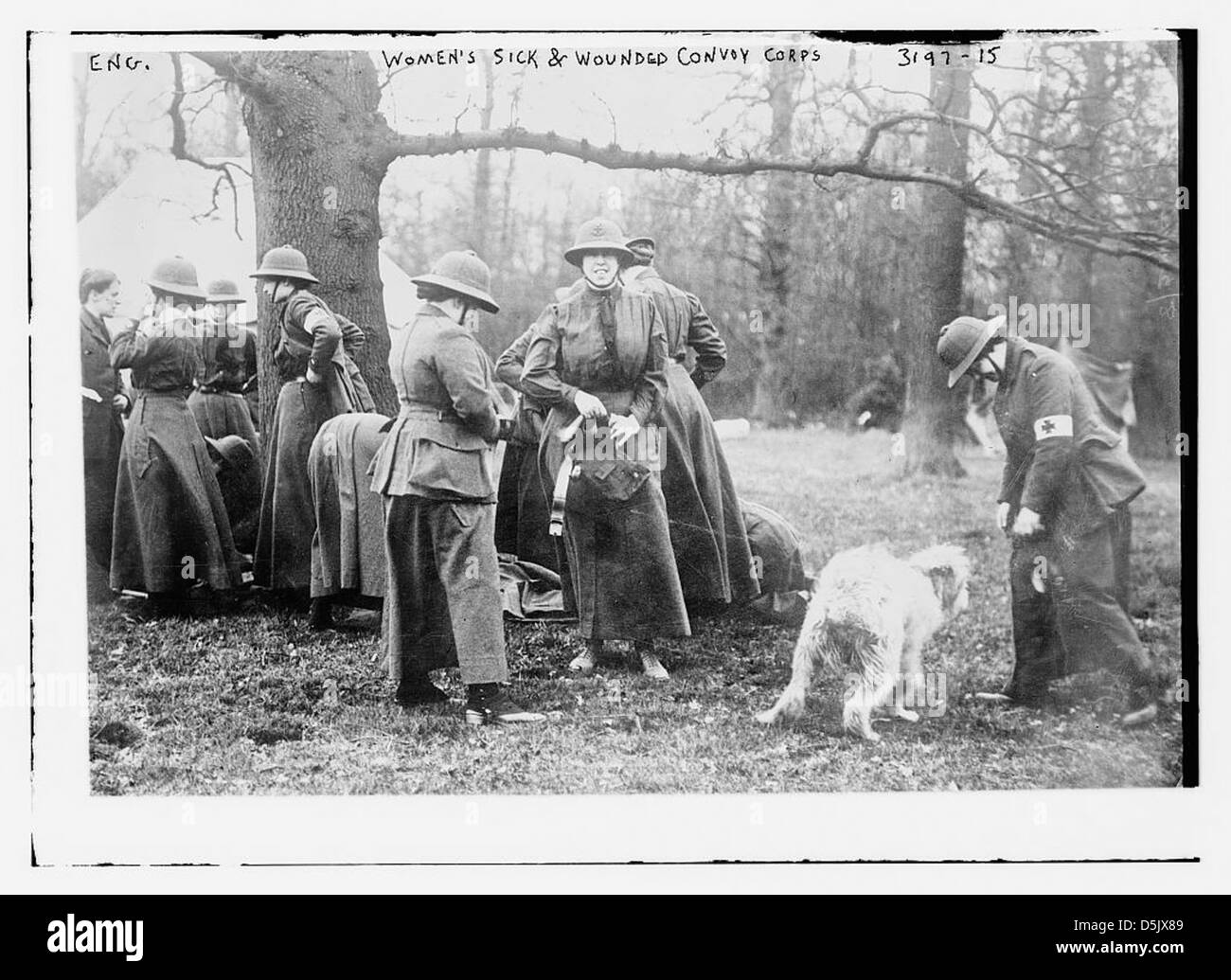 Womens Sick And Wounded Convoy Corps High Resolution Stock Photography ...
