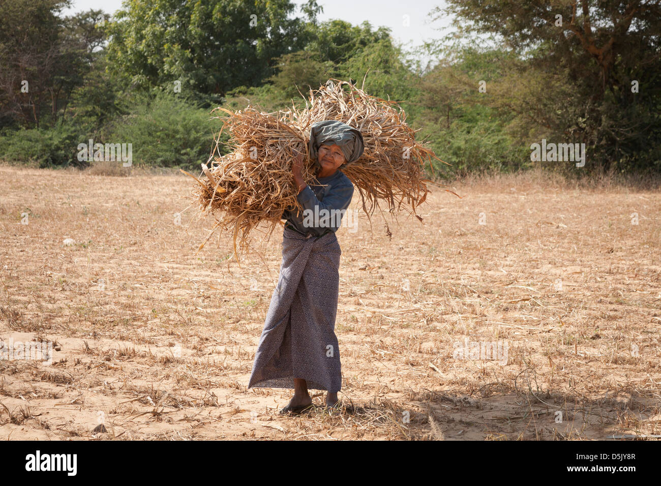 Lady Farmer Stock Photos & Lady Farmer Stock Images - Alamy