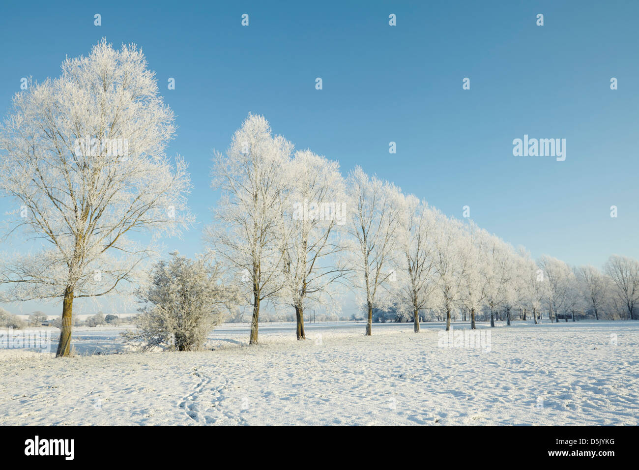 Norfolk winter snow hi-res stock photography and images - Alamy