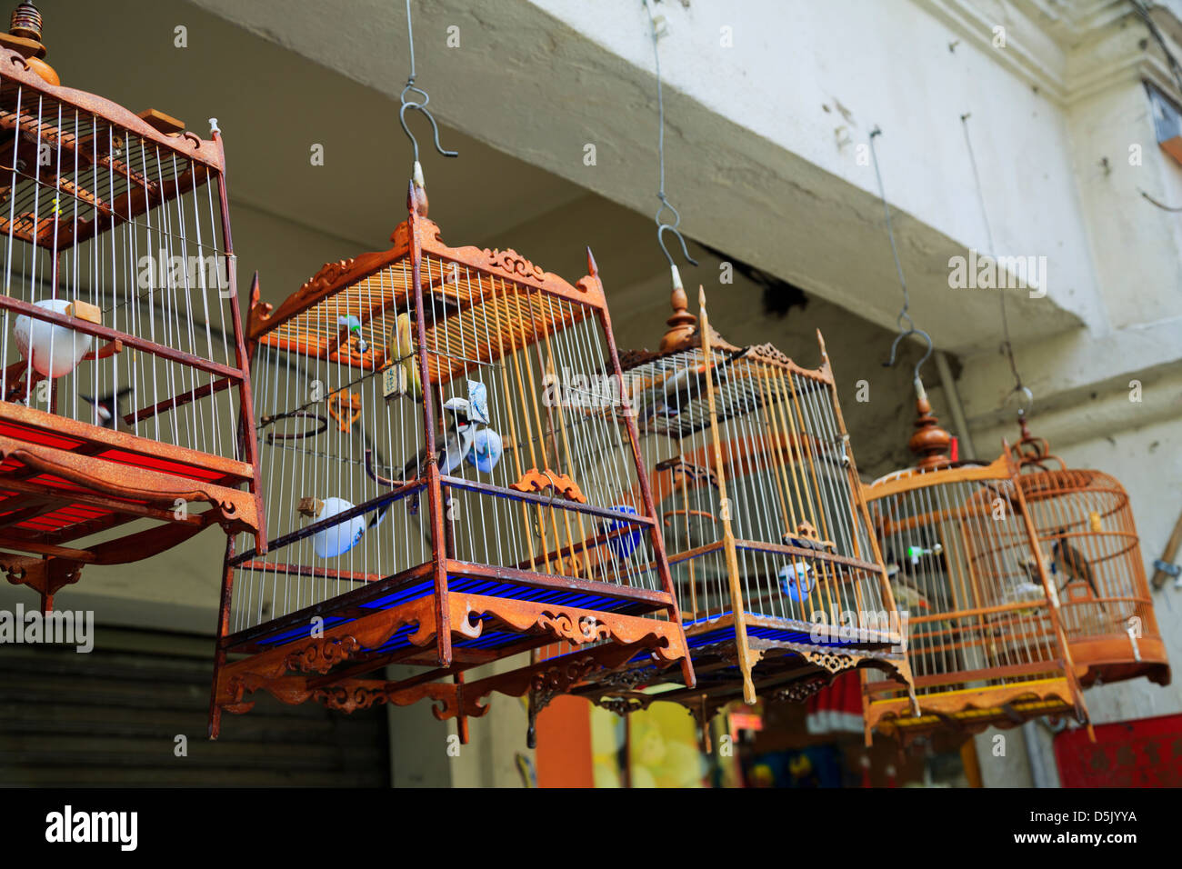 Hanging cages hi-res stock photography and images - Alamy