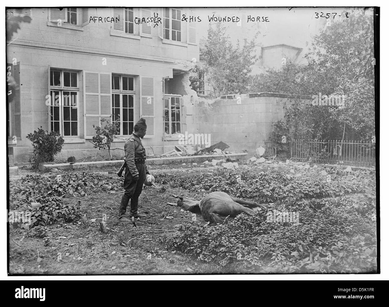 This photograph shows an African chasseur, a soldier, with his wounded ...
