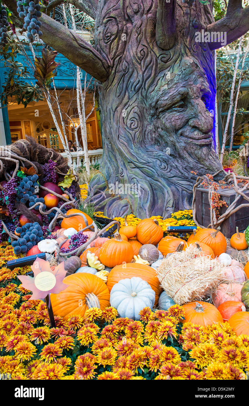 Fall season in Bellagio Hotel Conservatory & Botanical Gardens in Las ...