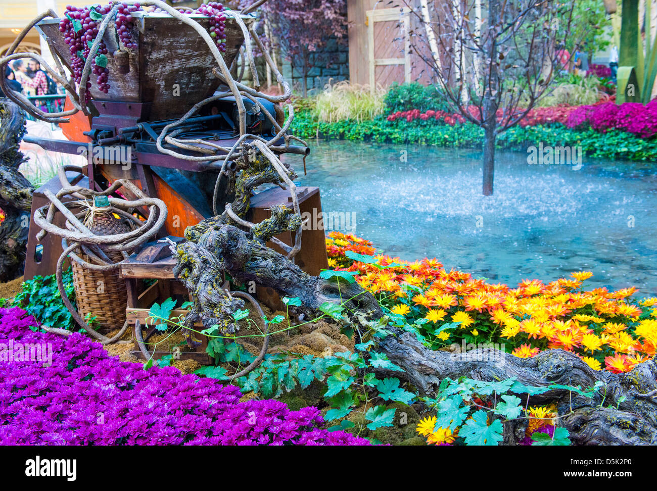 Fall season in Bellagio Hotel Conservatory & Botanical Gardens in Las ...