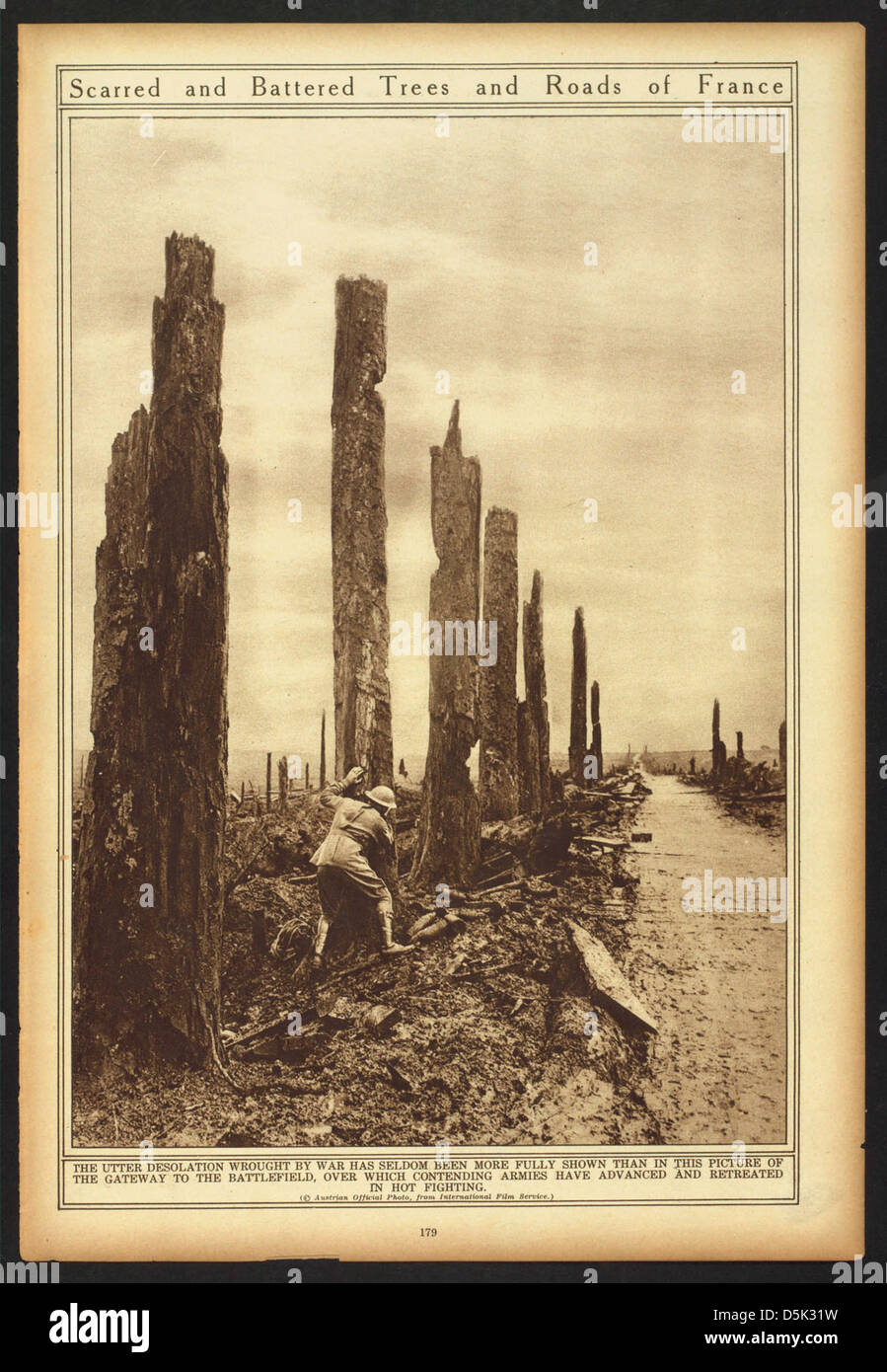 This image shows the aftermath of World War I in France, with trees and ...