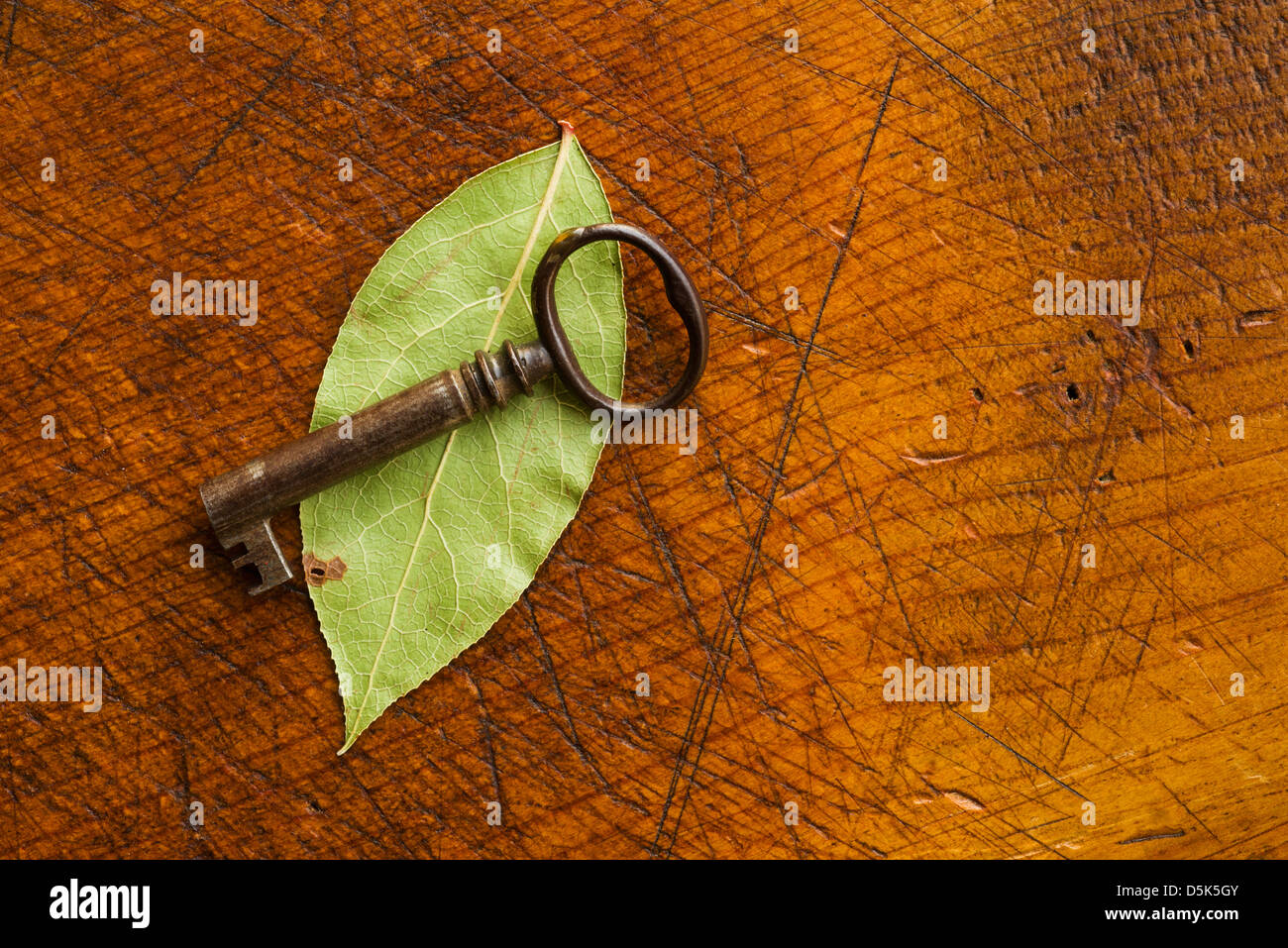 Key leaf hi-res stock photography and images - Alamy