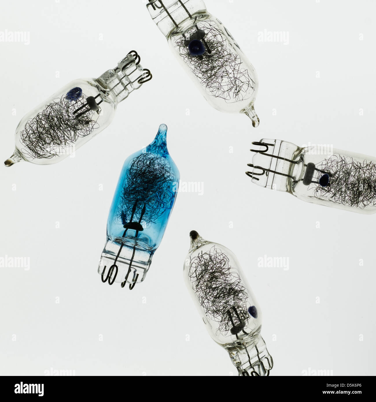 Studio shot of old light bulbs Stock Photo - Alamy