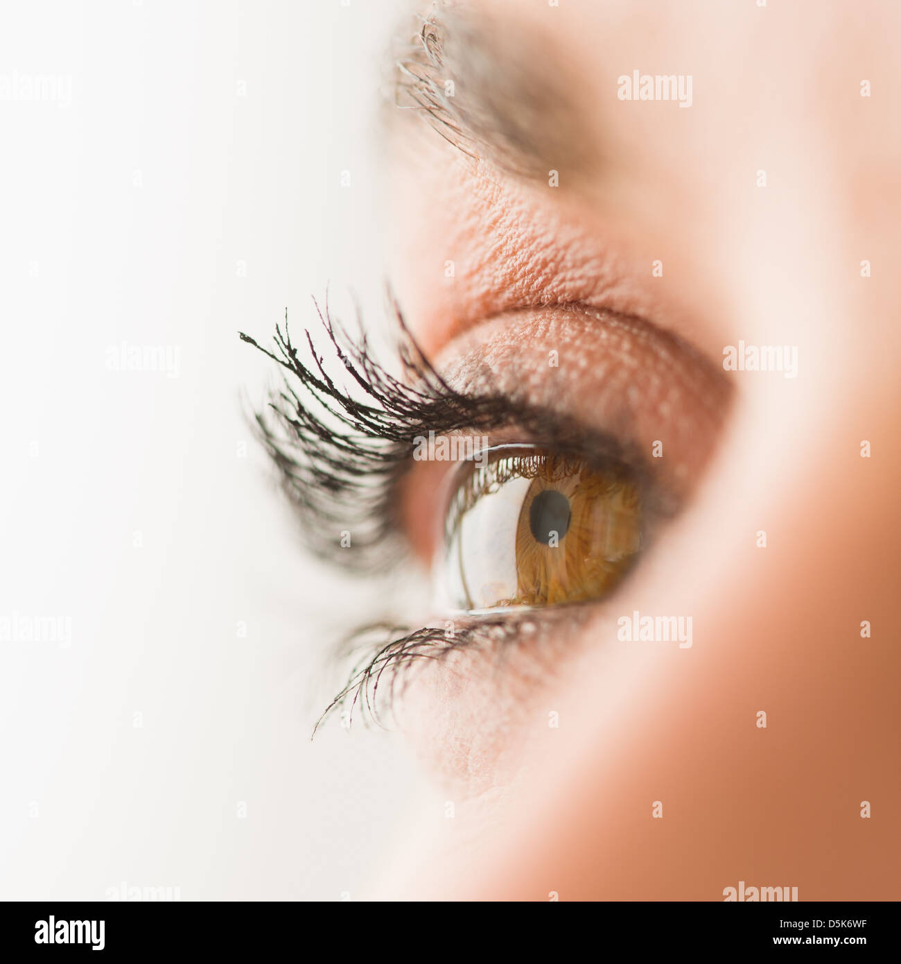 Brown human eye hi-res stock photography and images - Alamy