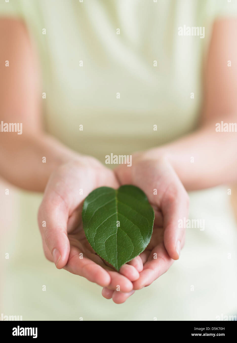 Hands holding green leaf Stock Photo - Alamy