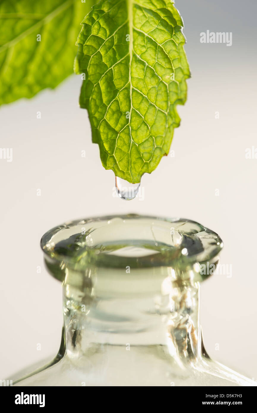 Liquid leaf hi-res stock photography and images - Alamy