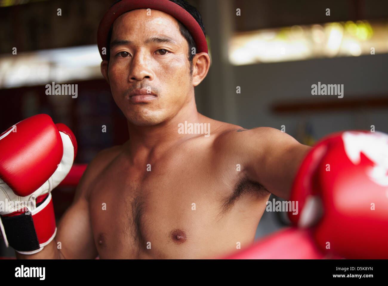 Portrait of mid adult male boxer in fighting stance Stock Photo - Alamy