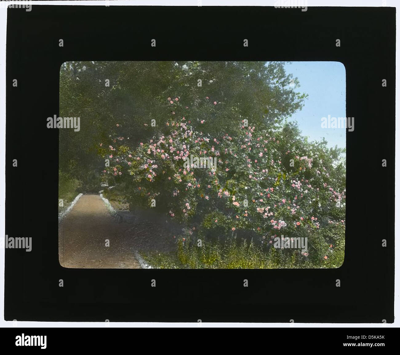 This image showcases the 'Arcady' house, designed by George Owen Knapp ...