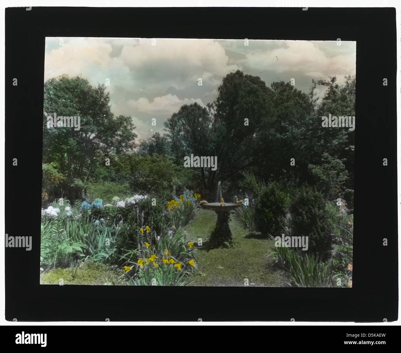 This image shows the Albert Henry Morrill house, known as 'Enniscorthy ...