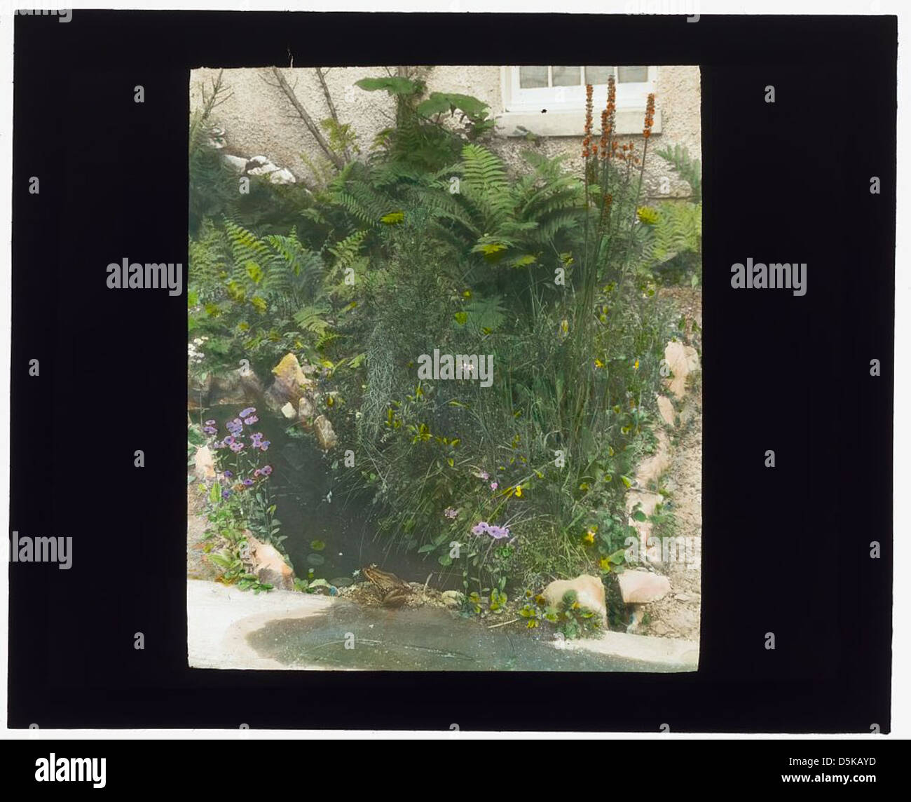 This image depicts the Edgar Theodore Wherry house at 3331 Stephenson ...