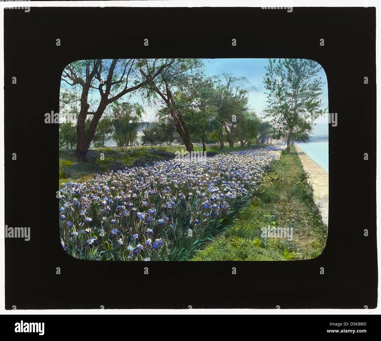 Historic west potomac park hi-res stock photography and images - Alamy