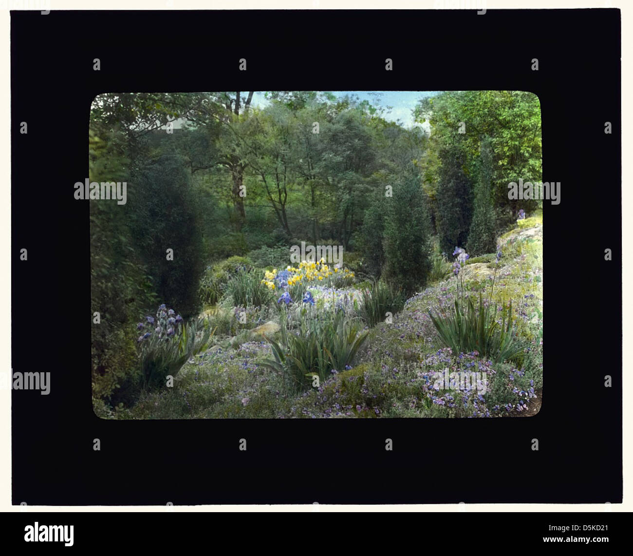 A photograph of the Graham Nichols house in Greenwich, Connecticut ...